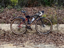 Category: Mountain Bike - Pedal Room